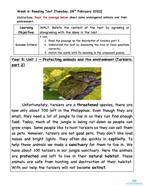 Protecting animals and the environment (Tarsiers; Part 2). Interactive ...