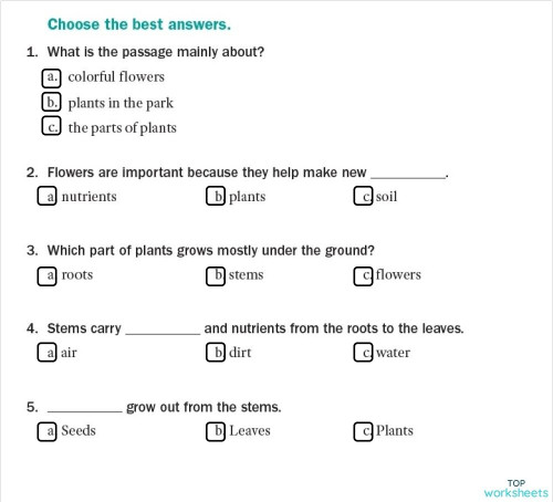 Reading comprehension: interactive worksheets and online exercises ...