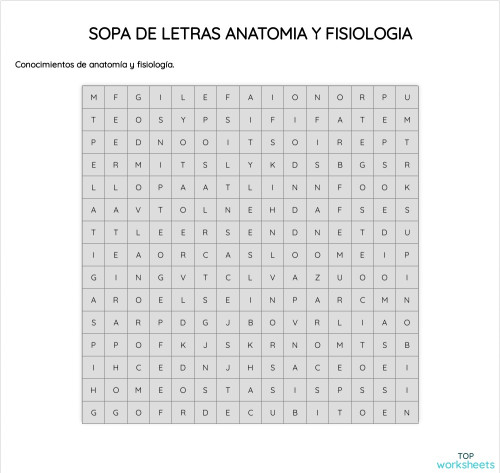 SOPA DE LETRAS ANATOMIA Y FISIOLOGIA. Ficha interactiva | TopWorksheets