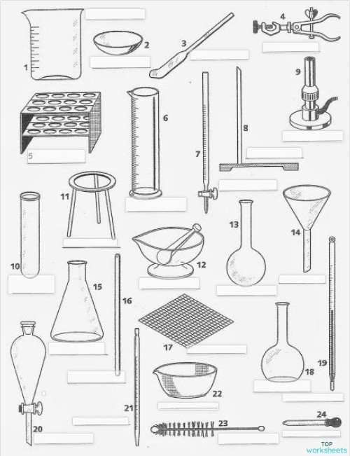 Instrumental de Laboratorio. Ficha interactiva | TopWorksheets