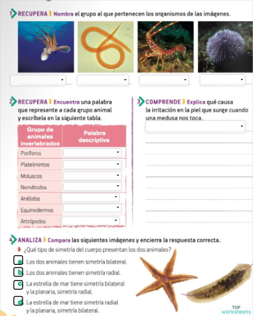 REPASANDO ANDO Y CIENCIAS LO ESTOY DISFRUTANDO. Ficha interactiva | TopWorksheets
