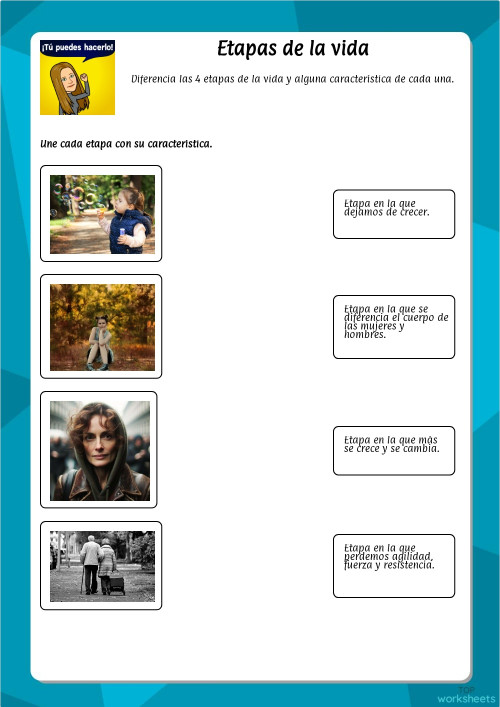 Etapas de la vida. Ficha interactiva | TopWorksheets