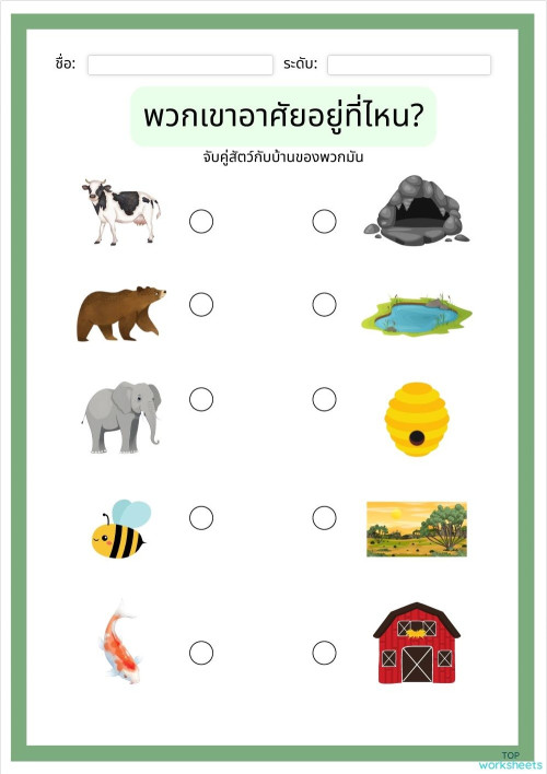 Tiger 3 - unit 2 - ANIMAL WORLD. Interactive worksheet | TopWorksheets