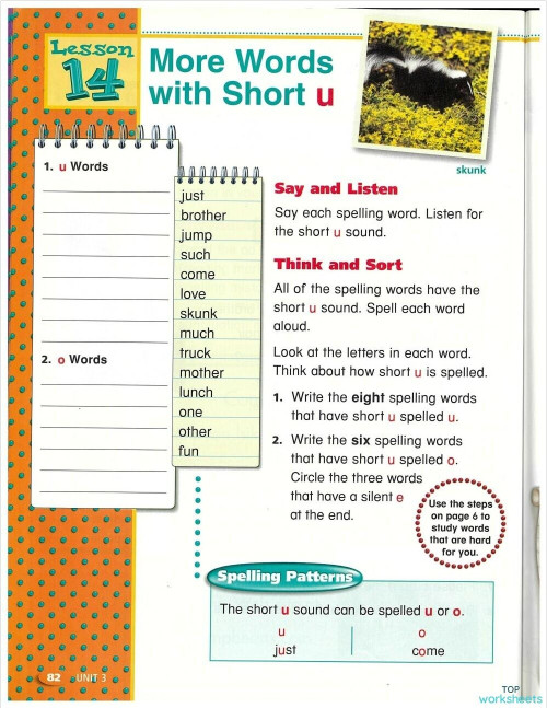 Spelling Lesson 14. Interactive worksheet | TopWorksheets