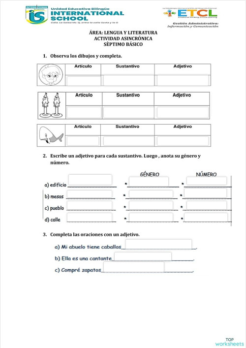 CONCORDANCIA ENTRE EL SUSTANTIVO Y EL ADJETIVO. Ficha interactiva ...