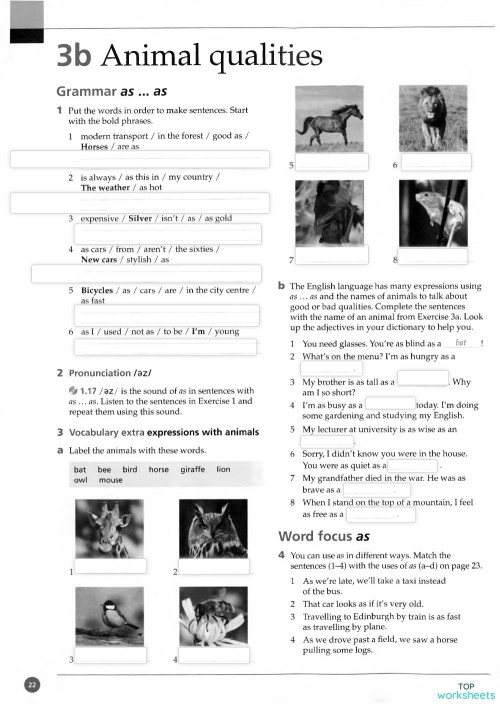 3b Animal qualities. Interactive worksheet | TopWorksheets