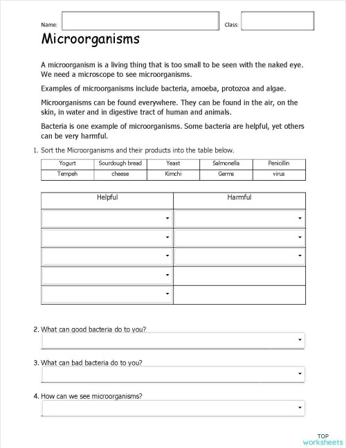 2026 Year 5 Week 2 Microorganisms. Interactive worksheet | TopWorksheets