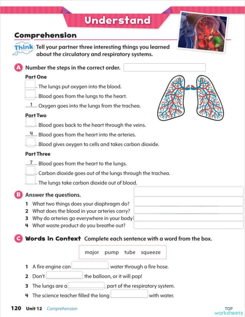 OD4 SB 120. Interactive worksheet | TopWorksheets