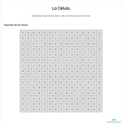 La Célula.. Ficha interactiva | TopWorksheets