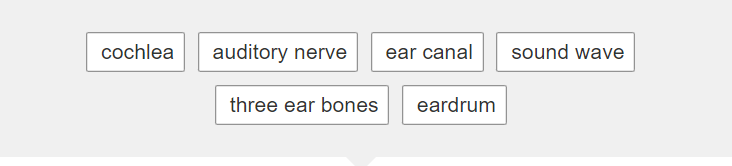 Parts of an Ear. Interactive worksheet | TopWorksheets