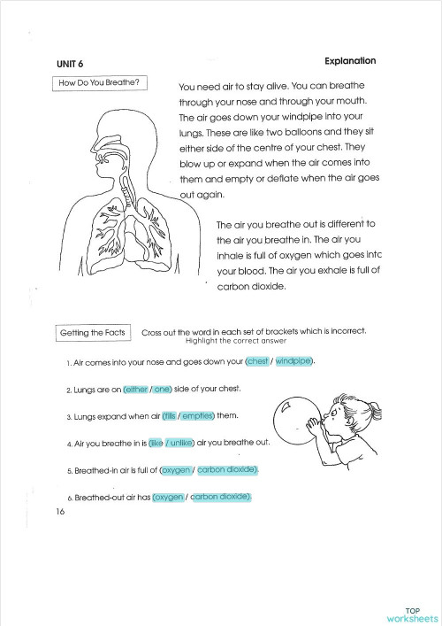 Unit 6 How Do You Breathe?. Interactive worksheet | TopWorksheets