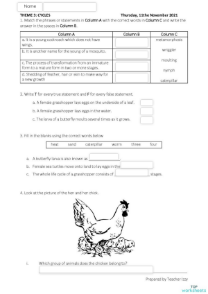 THEME 3: Cycles 2. Interactive worksheet | TopWorksheets