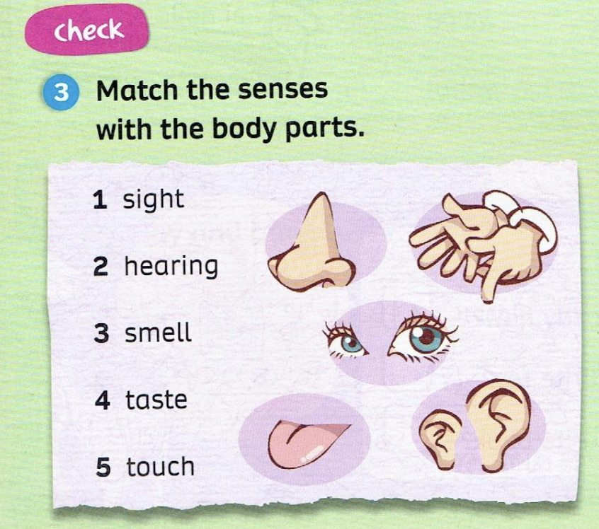 TEAM TOGETHER 1 - LANGUAGE BOOSTER 1. Interactive worksheet | TopWorksheets