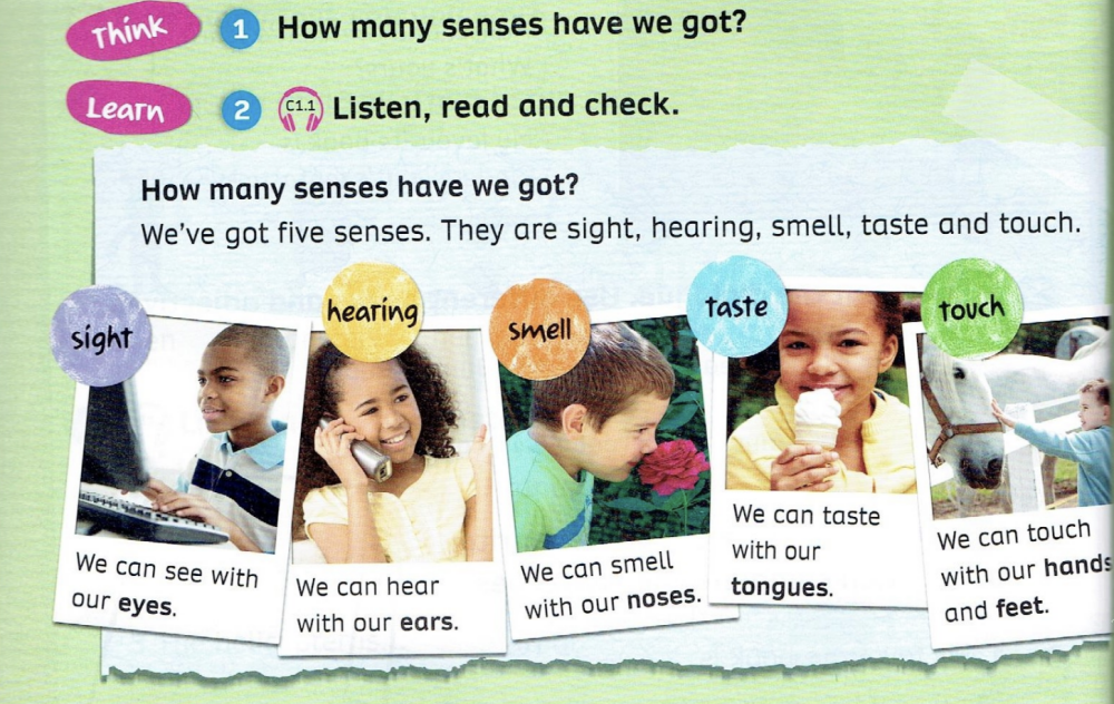 TEAM TOGETHER 1 - LANGUAGE BOOSTER 1. Interactive worksheet | TopWorksheets