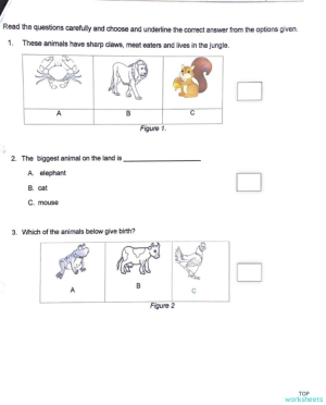 Year 3 SBA Revision PP1 PT.1. Interactive worksheet | TopWorksheets