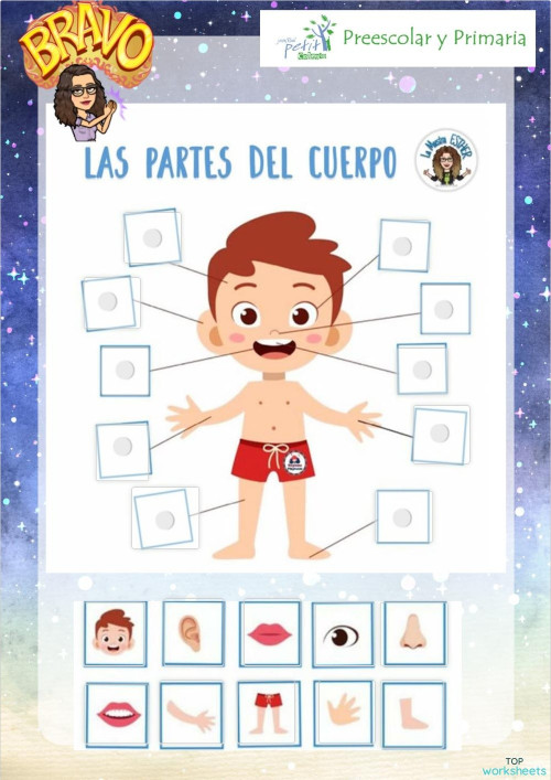 partes del cuerpo. Interactive worksheet | TopWorksheets
