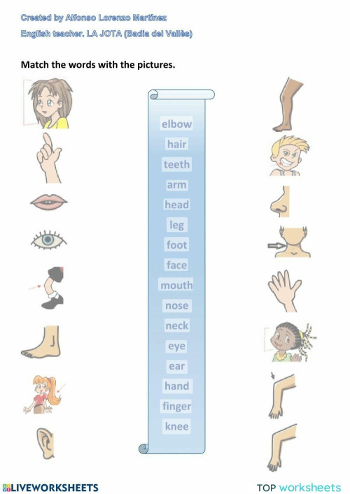 Body parts 01. Interactive worksheet | TopWorksheets