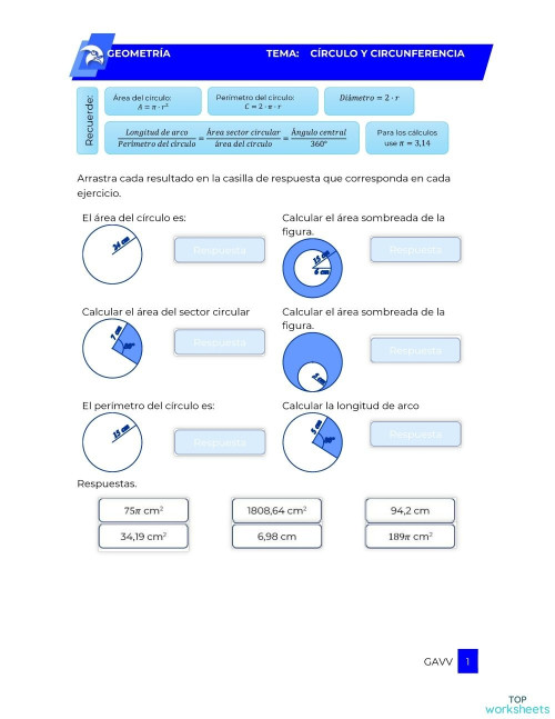 Geometría - Círculo y circunferencia. Ficha interactiva | TopWorksheets
