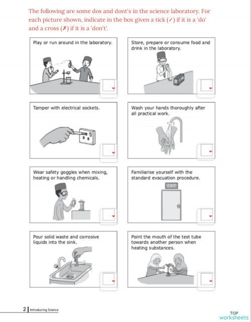 SSBD Workbook. Interactive worksheet | TopWorksheets