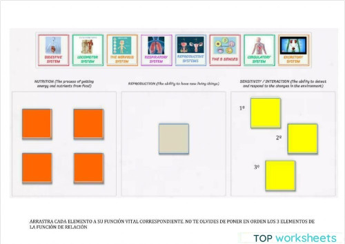 Life processes. Interactive worksheet | TopWorksheets