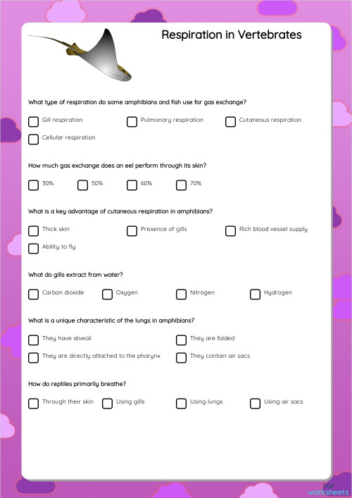 Respiration in Vertebrates. Interactive worksheet | TopWorksheets