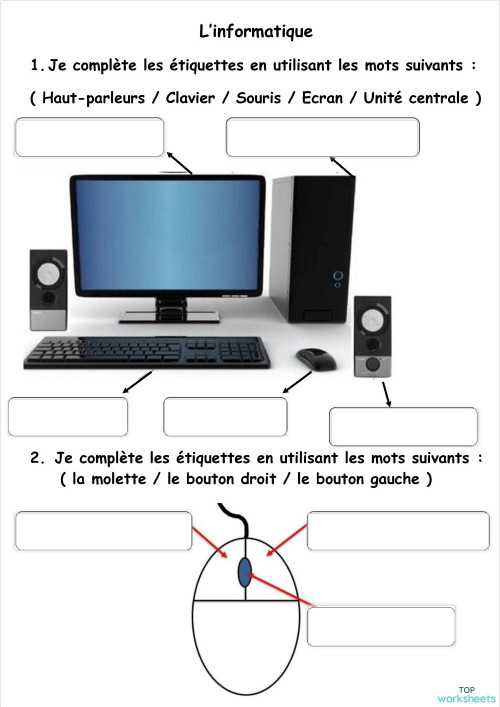 informatique cp. Fiche interactive | TopWorksheets