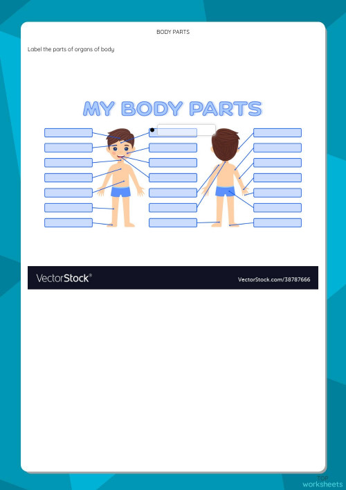 BODY PARTS. Interactive worksheet | TopWorksheets