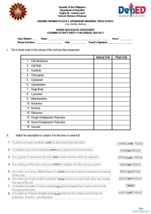 Module 4: Cell Types. Interactive worksheet | TopWorksheets