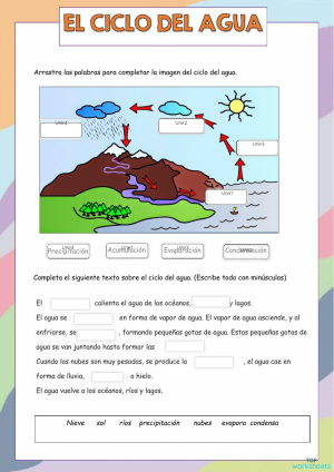 Ciclos del agua y sus formas. Ficha interactiva | TopWorksheets