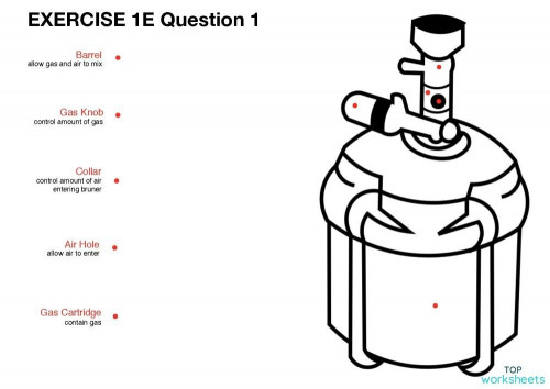 EXERCISE 1E. Interactive worksheet | TopWorksheets