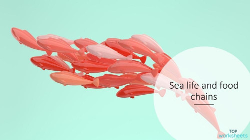 Sea life and food chains. Interactive worksheet | TopWorksheets