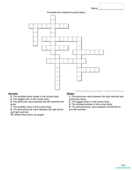 CIRCULATORY SYSTEM CROSSWORD. Interactive worksheet | TopWorksheets