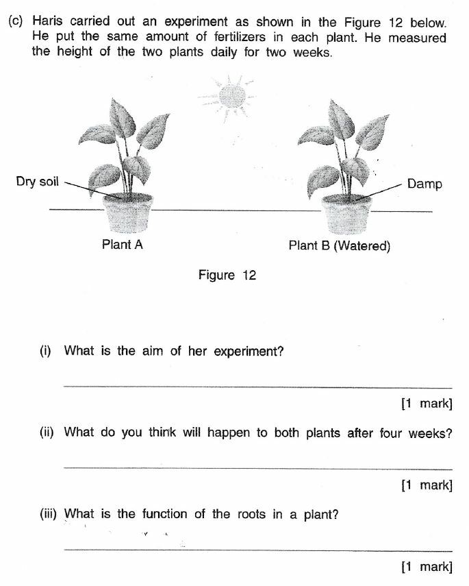 PSR Science Paper 2 2018 - Section B. Interactive worksheet | TopWorksheets