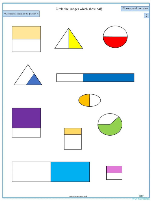 Recognise the fraction 1/2. Interactive worksheet | TopWorksheets