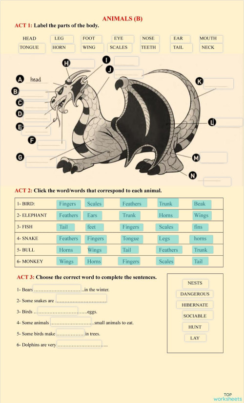 DESCRIBING ANIMALS. Interactive worksheet | TopWorksheets