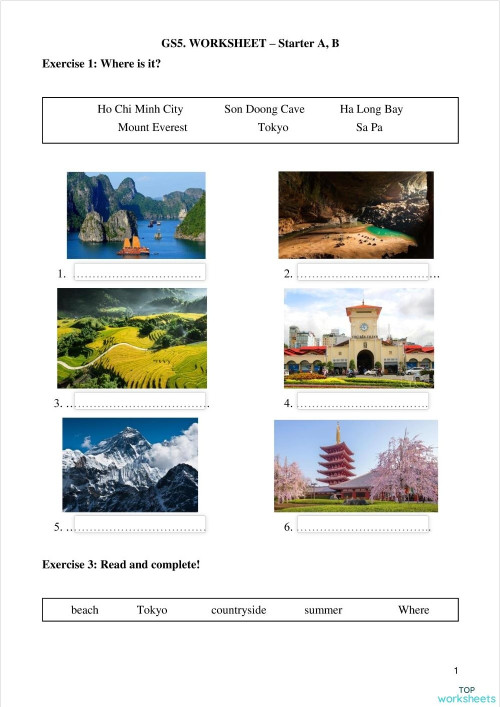 GS5. Starter A, B. Interactive worksheet | TopWorksheets