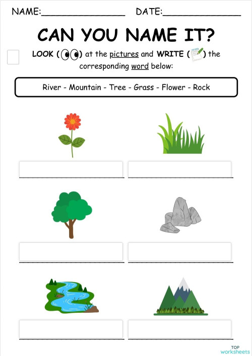 Show what you know!. Interactive worksheet | TopWorksheets