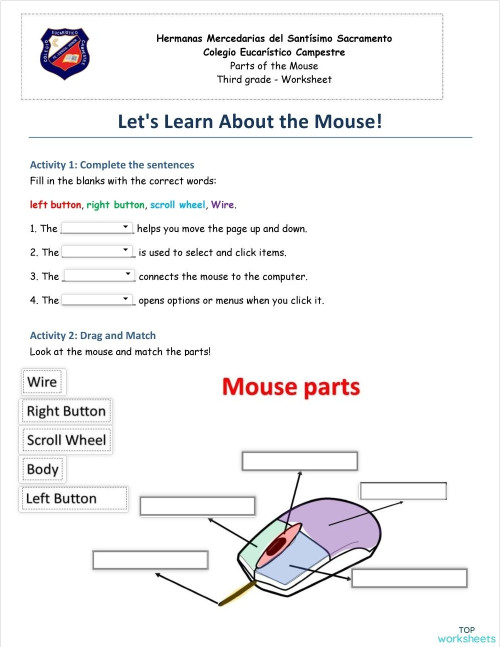 Parts of the Mouse. Interactive worksheet | TopWorksheets