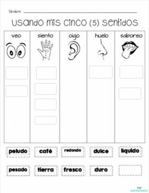 Usando los sentidos. Ficha interactiva | TopWorksheets