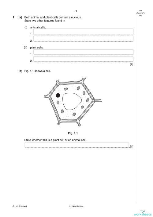 Root hair cells 1. Interactive worksheet | TopWorksheets