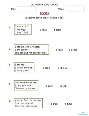 RIDDLES - WHO/WHAT AM I?. Interactive worksheet | TopWorksheets