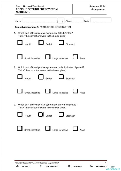 Topic 10.2 Parts of Digestive System. Interactive worksheet | TopWorksheets