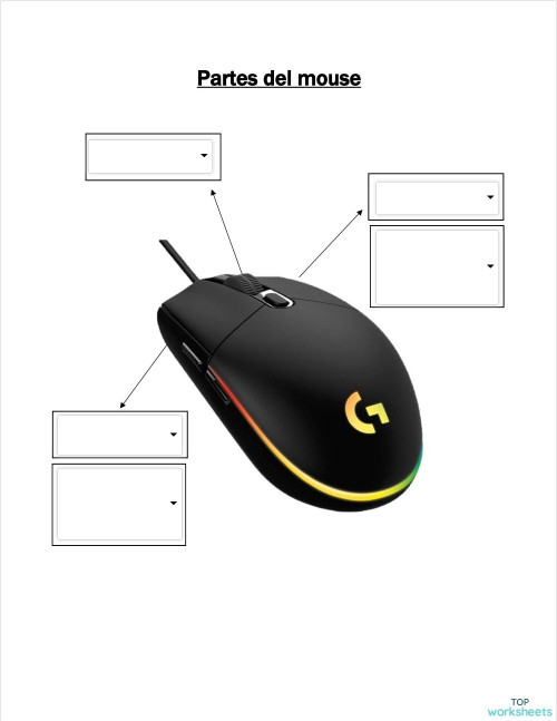 Partes del mouse. Ficha interactiva | TopWorksheets