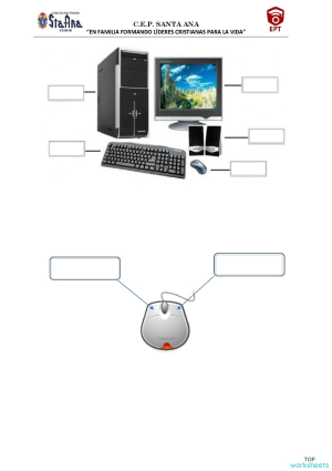 Partes de la computadora. Ficha interactiva | TopWorksheets