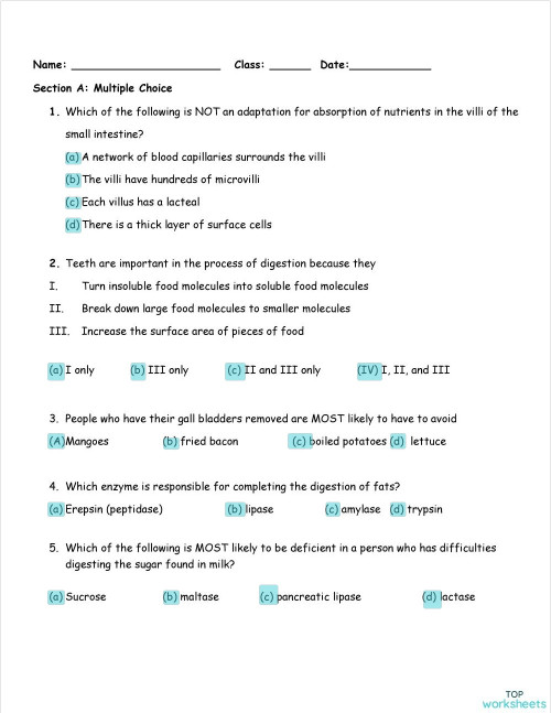 Year 6 Science | PSR 2018 Paper 2 (Section A). Interactive worksheet ...