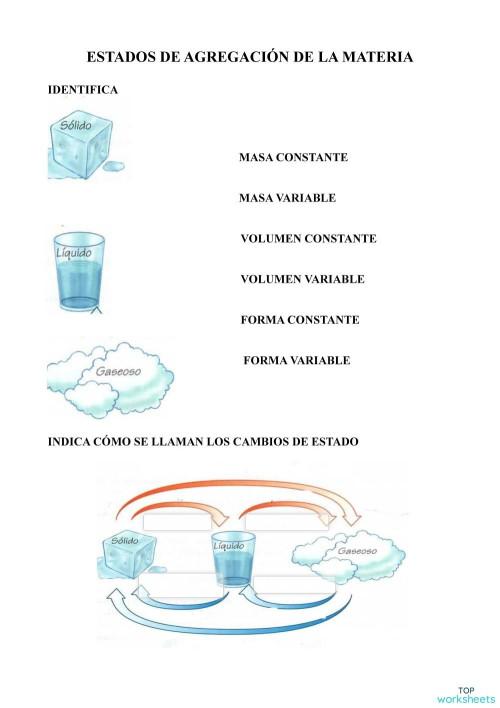 Estados de la materia. Ficha interactiva | TopWorksheets