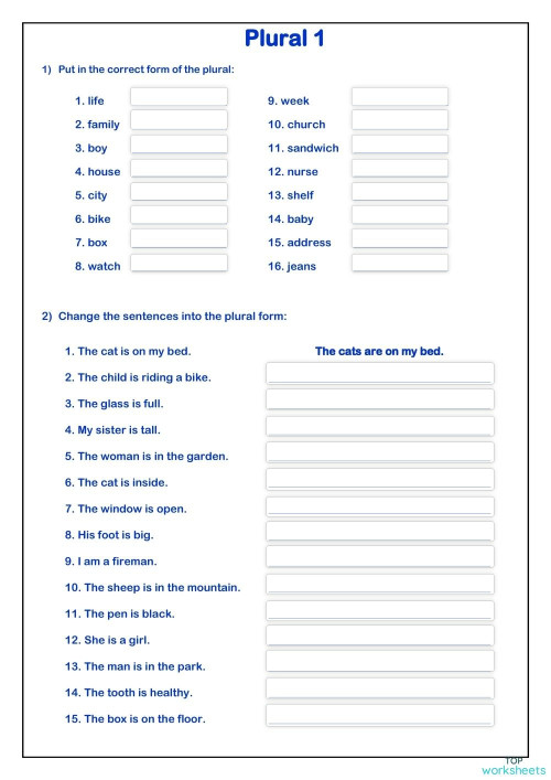 1 Plural - Write the answers. Interactive worksheet | TopWorksheets