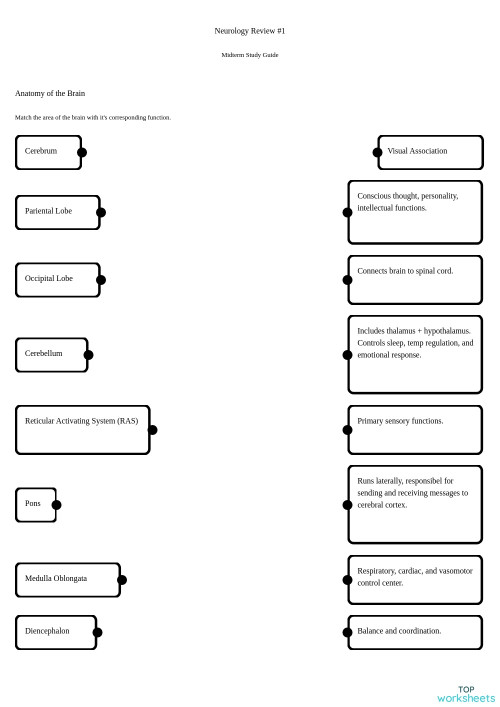 Ecce sample 2021 reading. Interactive worksheet | TopWorksheets