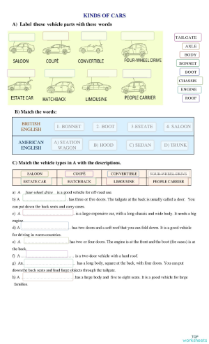 kinds of cars. Interactive worksheet | TopWorksheets
