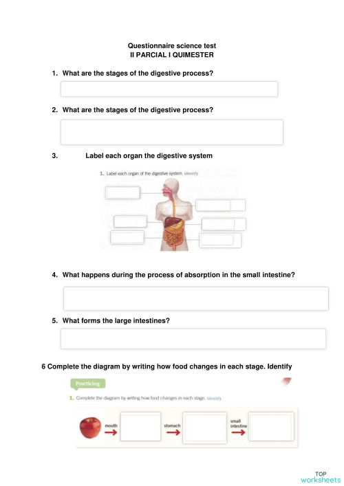 TRIAL PSR : SCIENCE PAPER 1 (PART 2). Interactive worksheet | TopWorksheets